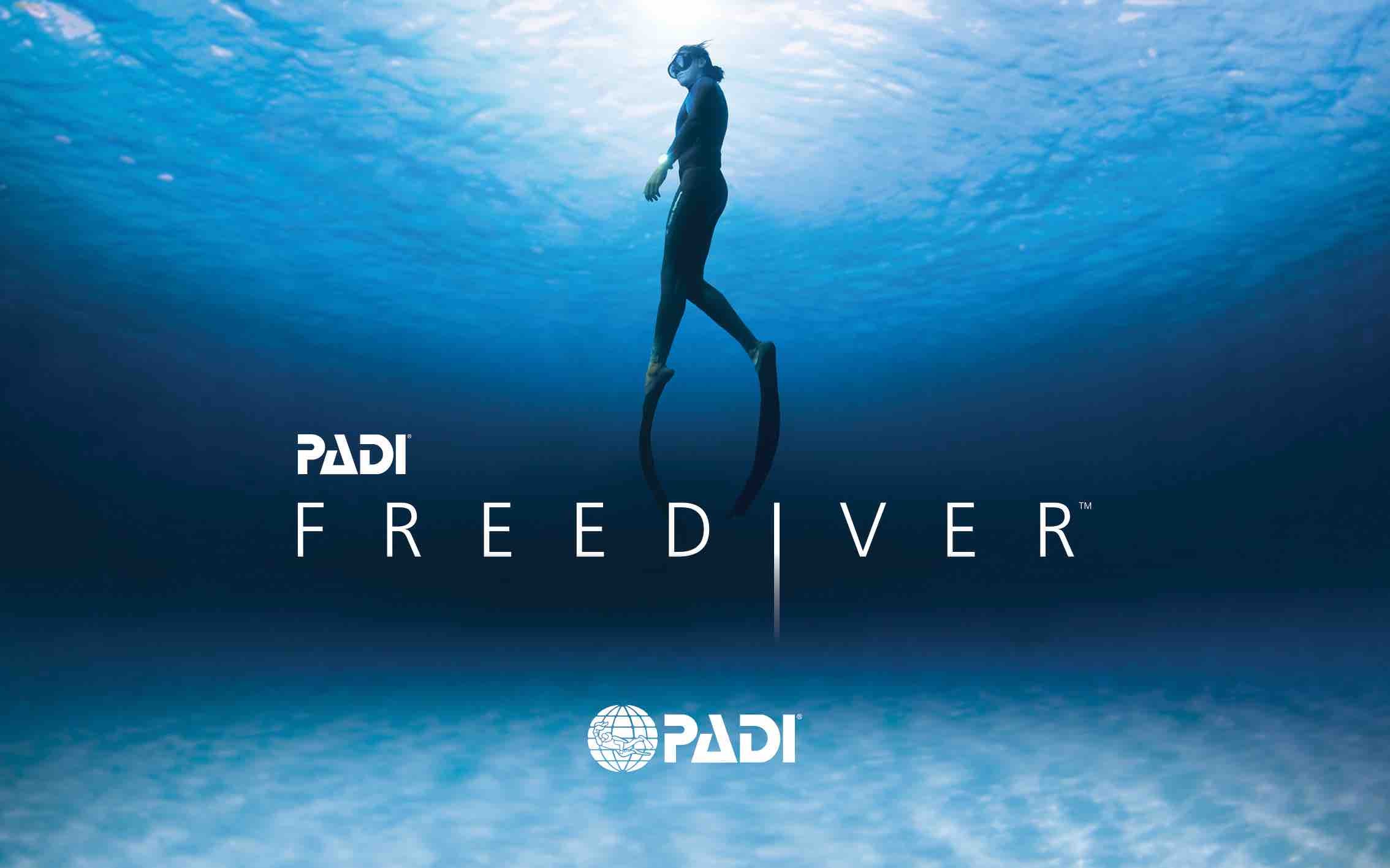 Basic Freediver – Simple Dive