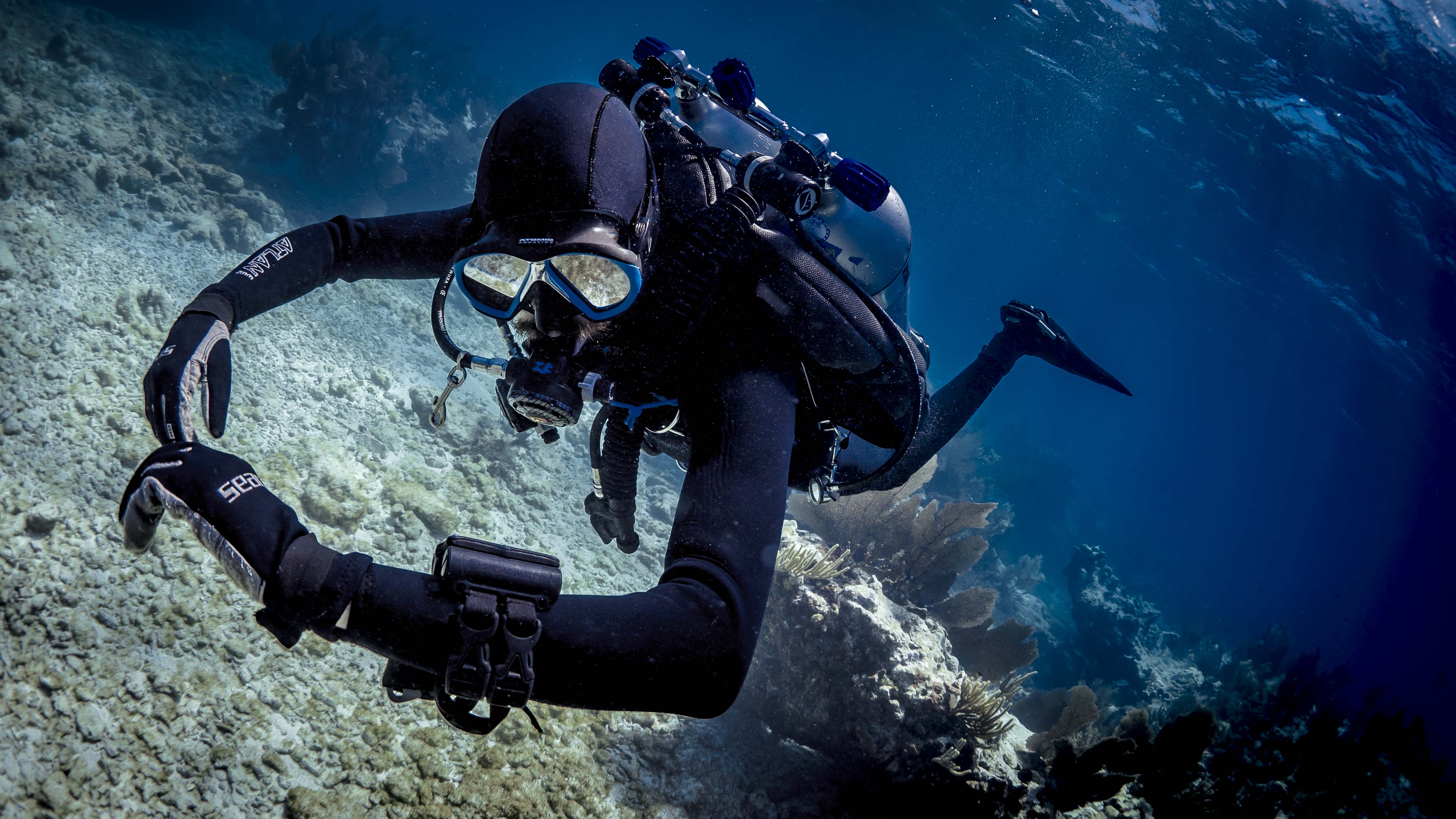 Scuba and Free Diving Courses in Melbourne, Victoria | Simple Dive ...
